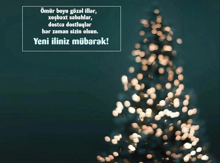 Yeni il və Həmrəylik Günü Təbrikləri 2026 - NomreBir.Com