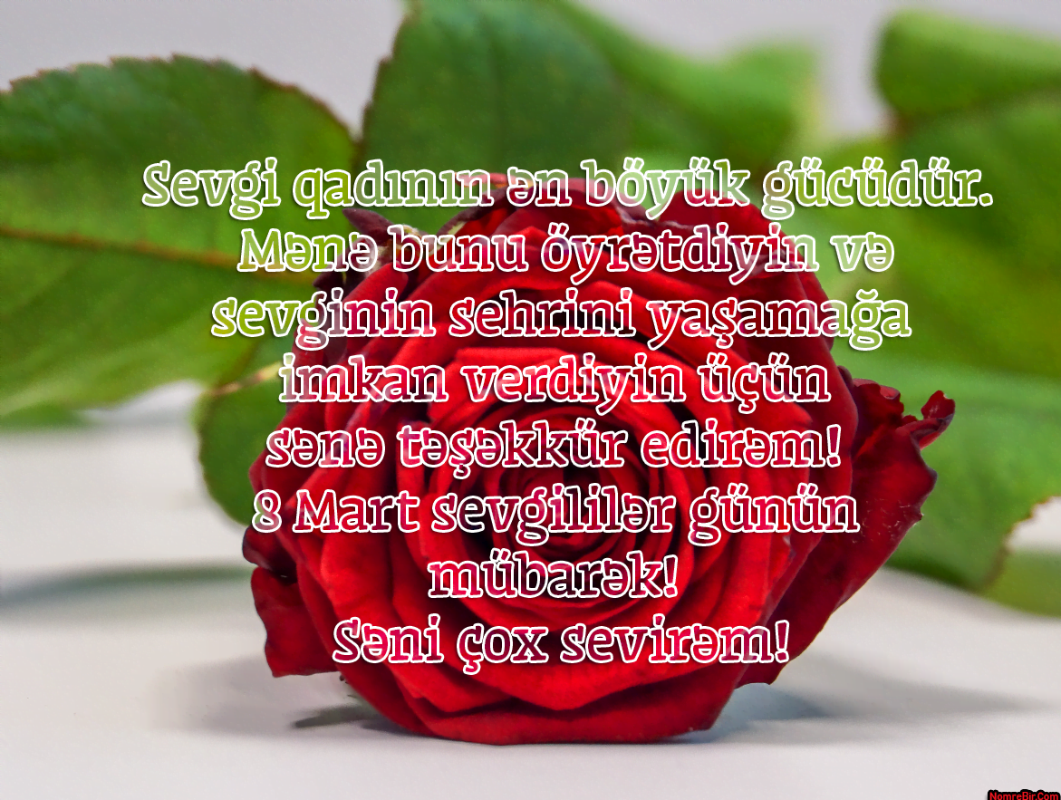8 Mart Təbrikləri Mesajları Şəkilləri 🌹